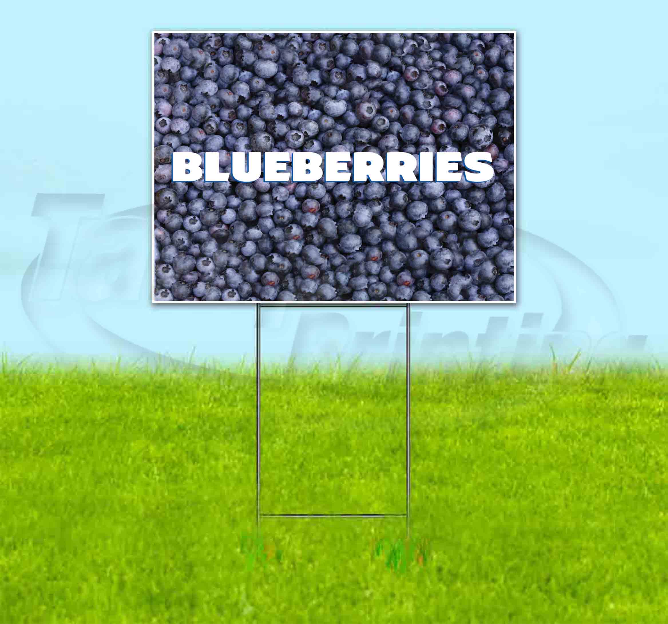Blueberries V3 (18" x 24") Yard Sign, Includes Metal Step Stake ...