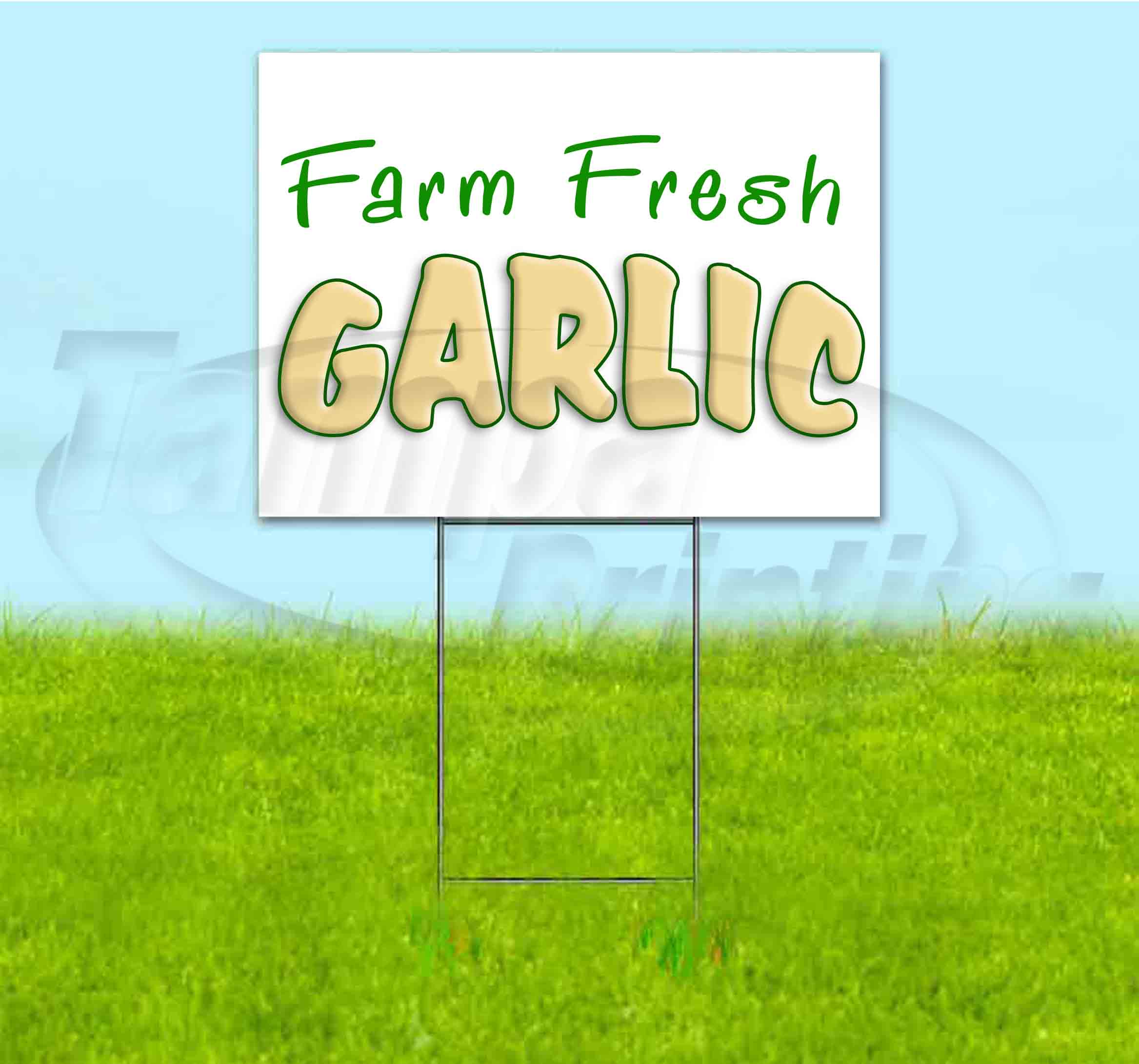 Farm Fresh Garlic (18" x 24") Yard Sign, Includes Metal Step Stake ...