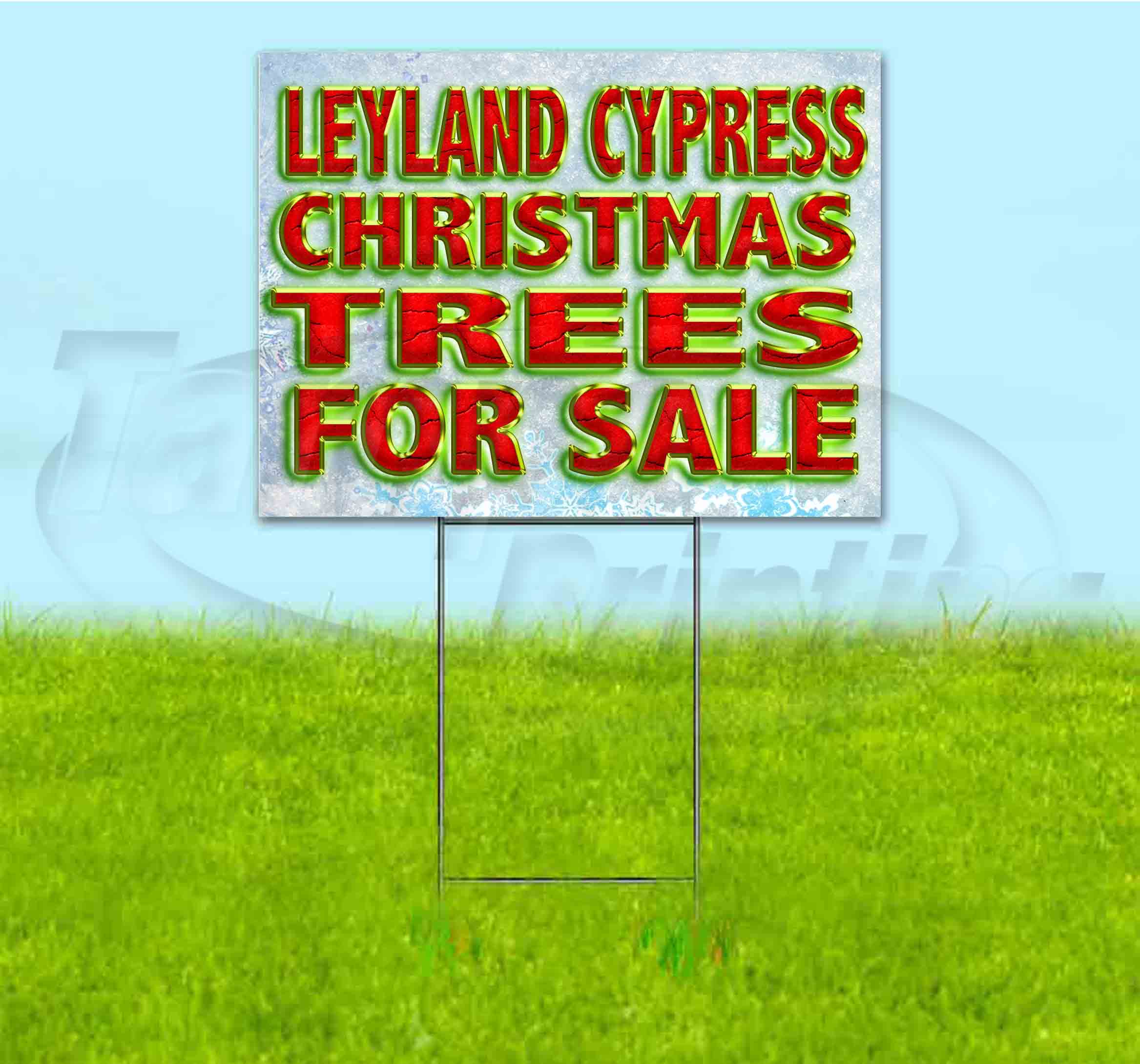 Leyland Cypress Christmas Trees For Sale (18" x 24") Yard Sign ...