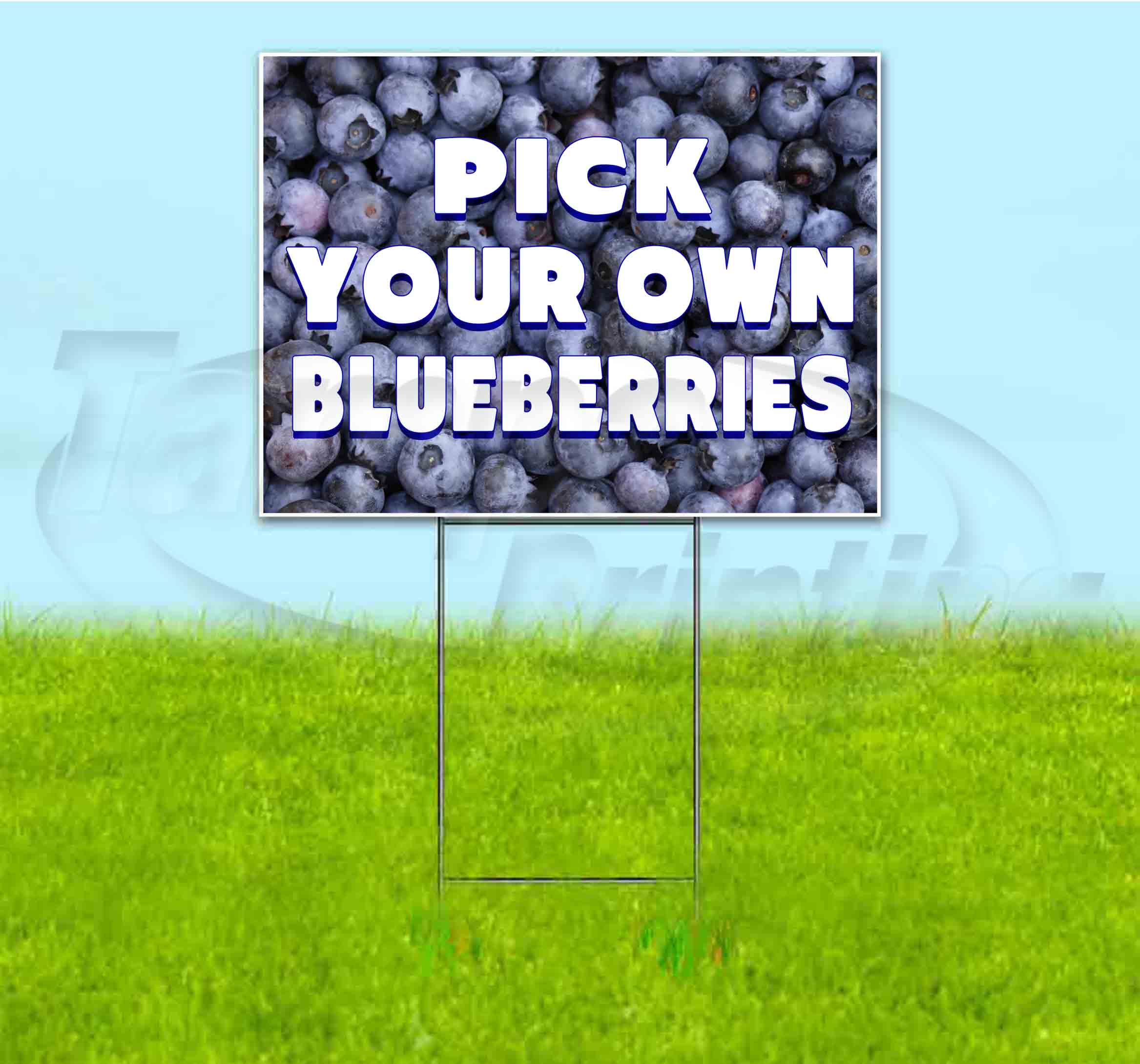 Pick Your Own Blueberries (18" x 24") Yard Sign, Includes Metal Step ...